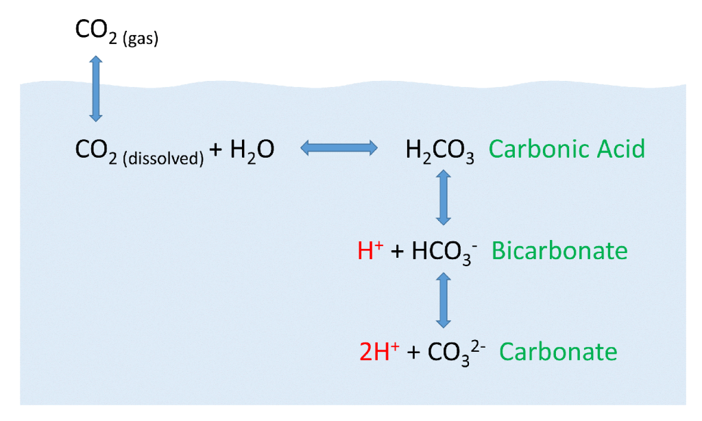 5.5 Dissolved Gases: Carbon Dioxide, pH, and Ocean Acidification ...